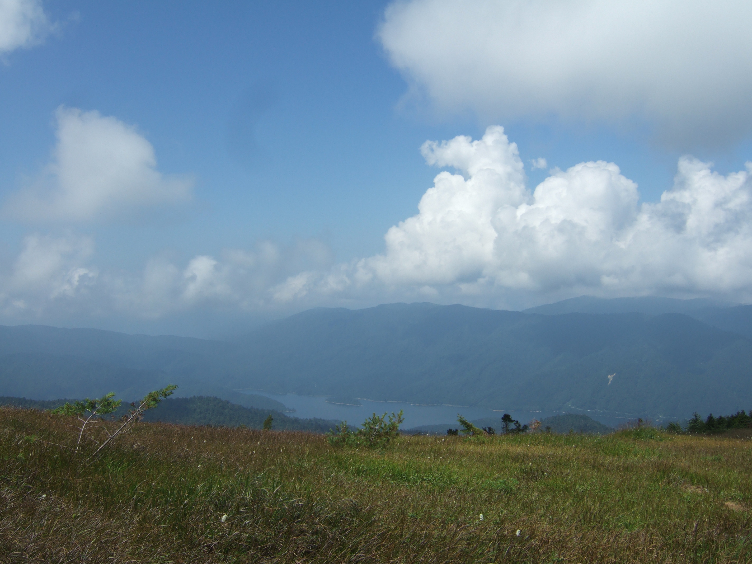 N36.4778528,E137.4821456,Z15